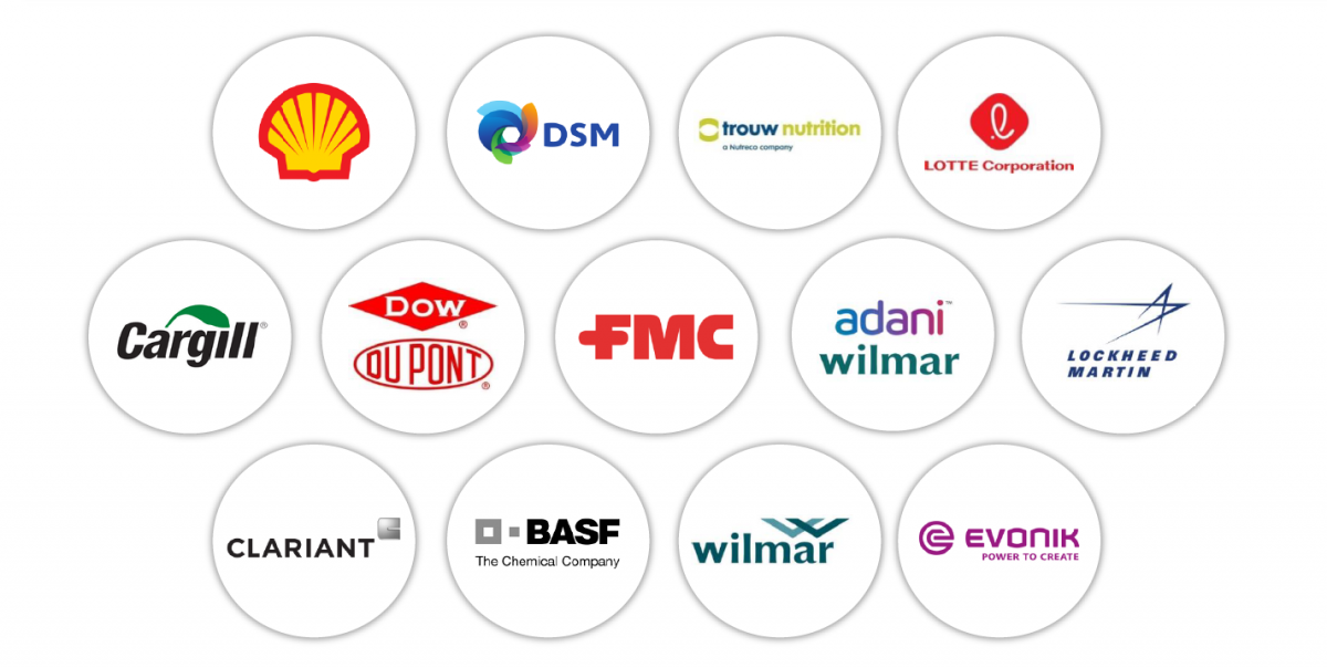 CAMLIN FINE SCIENCES LIMITED – Leveraged Growth